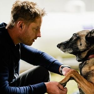 Tracker Saison 2 - AlloCiné