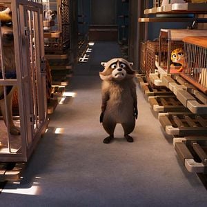 Falcon Express - Film 2025 - AlloCiné