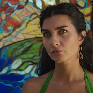 Le Chemin de l'olivier Saison 2 - AlloCiné