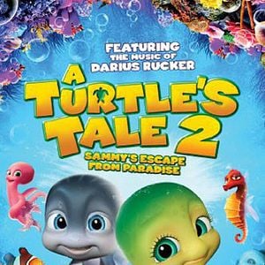 Sammy 2 : Photos et affiches - AlloCiné