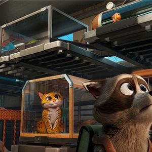 Falcon Express - Film 2025 - AlloCiné