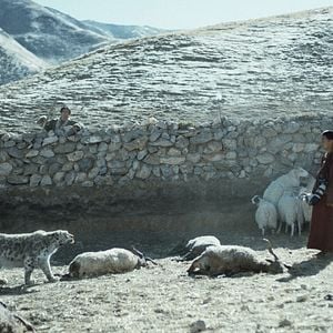 Le Léopard des neiges - Film 2023 - AlloCiné