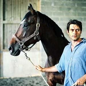 Patrick Catalifo - AlloCiné