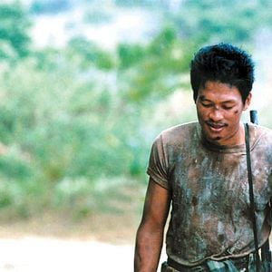 Tropical Malady - Film 2004 - AlloCiné