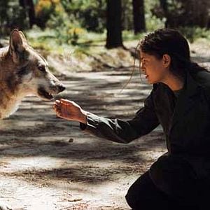 Rose Bosch - AlloCiné