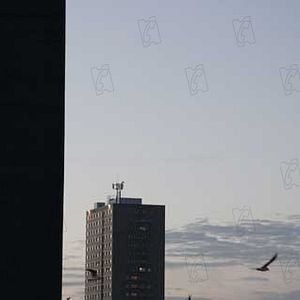 Red Road - Film 2006 - AlloCiné