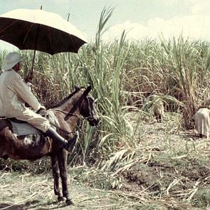 Rue Cases-Nègres - Film 1983 - AlloCiné