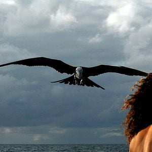 Alamar - film 2009 - AlloCiné