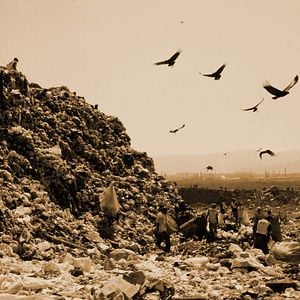 Waste Land - Film documentaire 2010 - AlloCiné