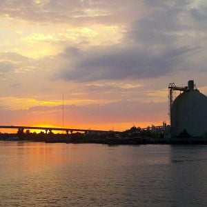 The Bay - Film 2012 - AlloCiné