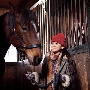 Un Cheval sur le balcon - Film 2012 - AlloCiné