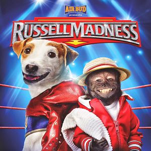 Russell Madness - Film 2015 - AlloCiné