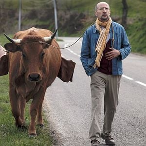 La vache - Film 2016 - AlloCiné