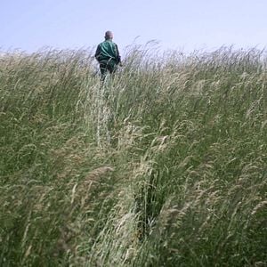 Ceres - Film documentaire 2018 - AlloCiné