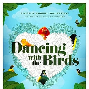 Dancing With The Birds - Film documentaire 2019 - AlloCiné