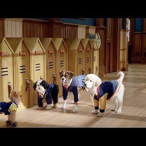Pup Academy : L'Ecole Secrète - Série TV 2019 - AlloCiné