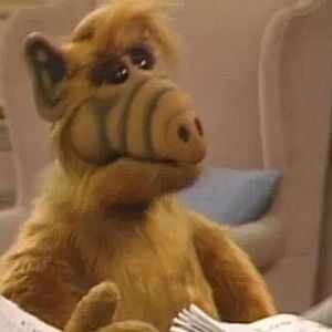 ALF - Série TV 1986 - AlloCiné