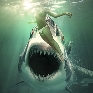 Ghost Shark - film 2013 - AlloCiné