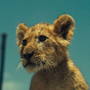 King - Film 2020 - AlloCiné