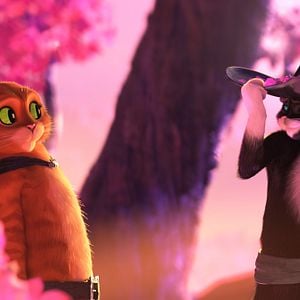 Le Chat Potté 2 : la dernière quête - Film 2022 - AlloCiné