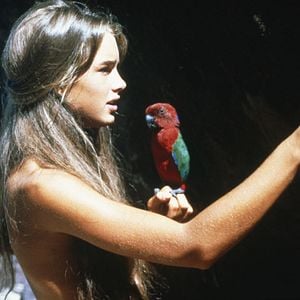 Le Lagon Bleu - Film 1980 - AlloCiné