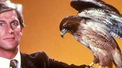 Manimal - Série TV 1983 - AlloCiné