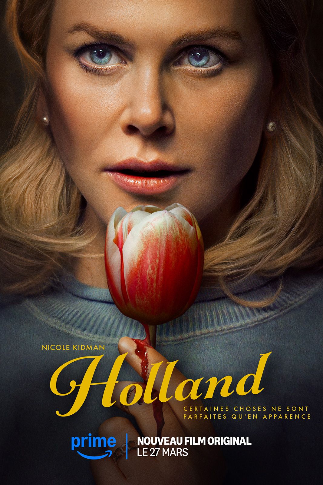 Holland en streaming - AlloCiné