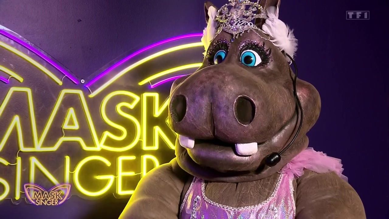 Mask Singer : les stars ont-elles leur mot à dire sur le choix des ...