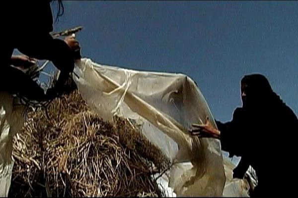 Photo du film Empty hands - Photo 1 sur 5 - AlloCiné