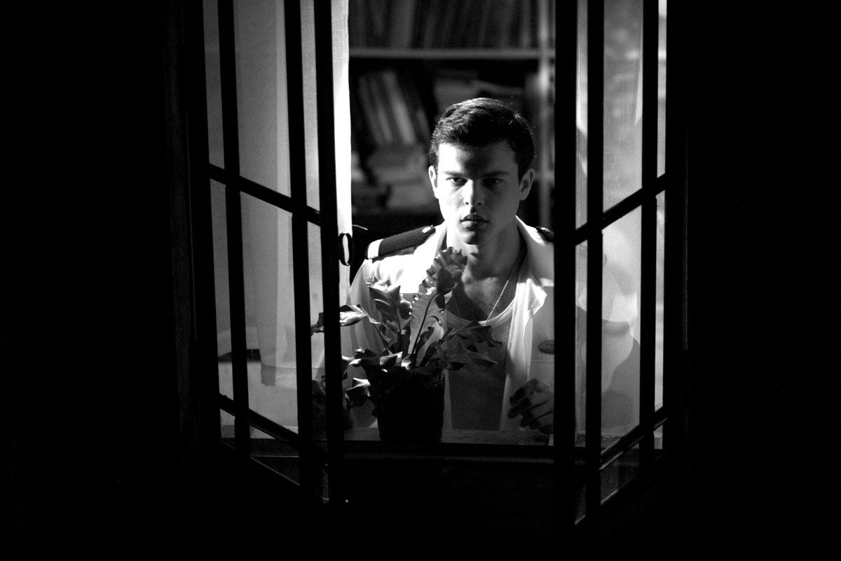 Photo du film Tetro - Photo 11 sur 29 - AlloCiné