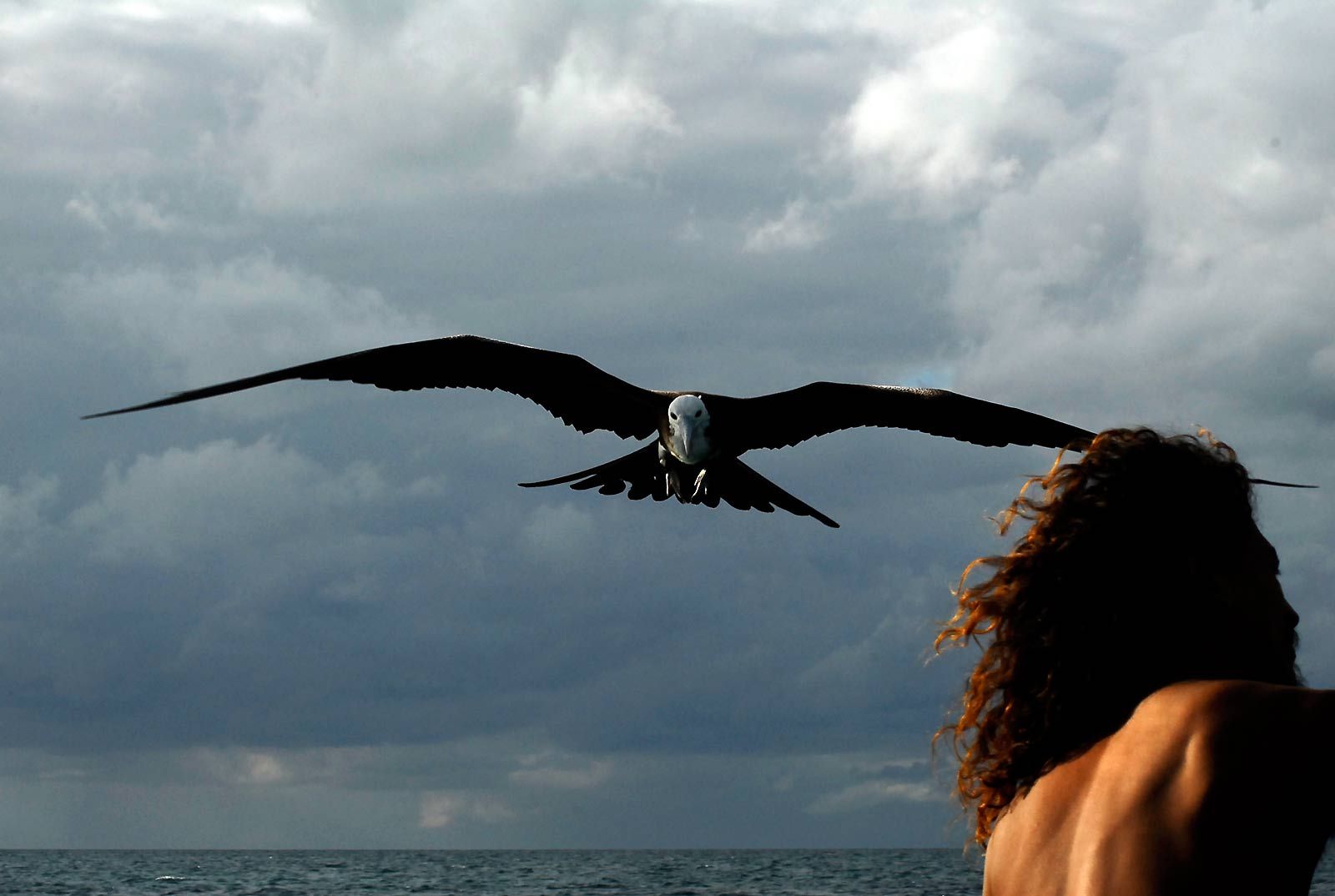 Photo du film Alamar - Photo 7 sur 7 - AlloCiné