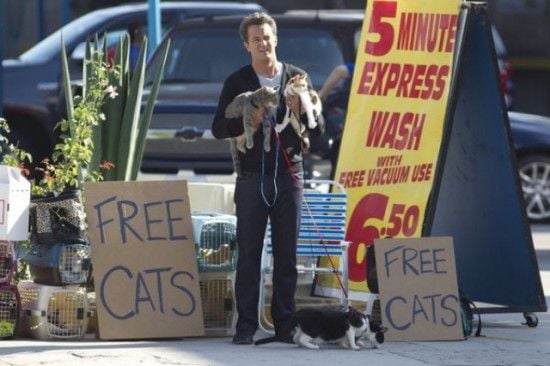 Photo de Matthew Perry - Go On : Photo Matthew Perry - Photo 103 sur ...