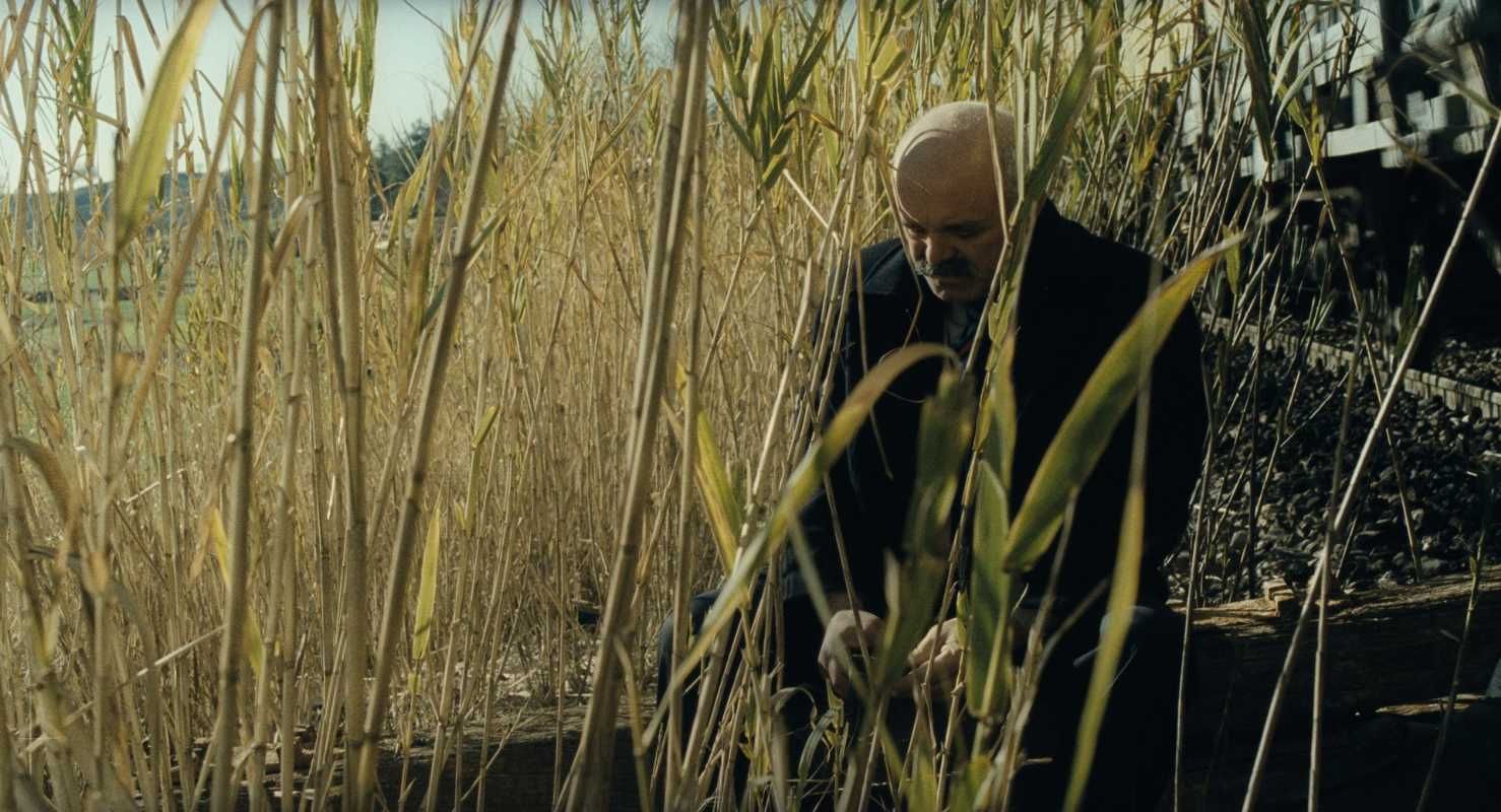 Photo du film Mold - Photo 1 sur 7 - AlloCiné