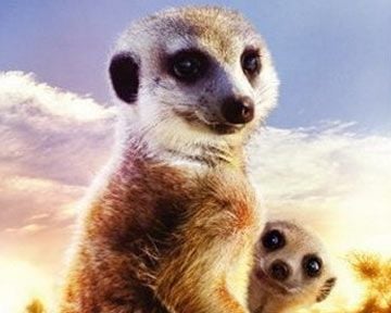 Trailer du film Le Clan des suricates, l'aventure commence - Le Clan ...