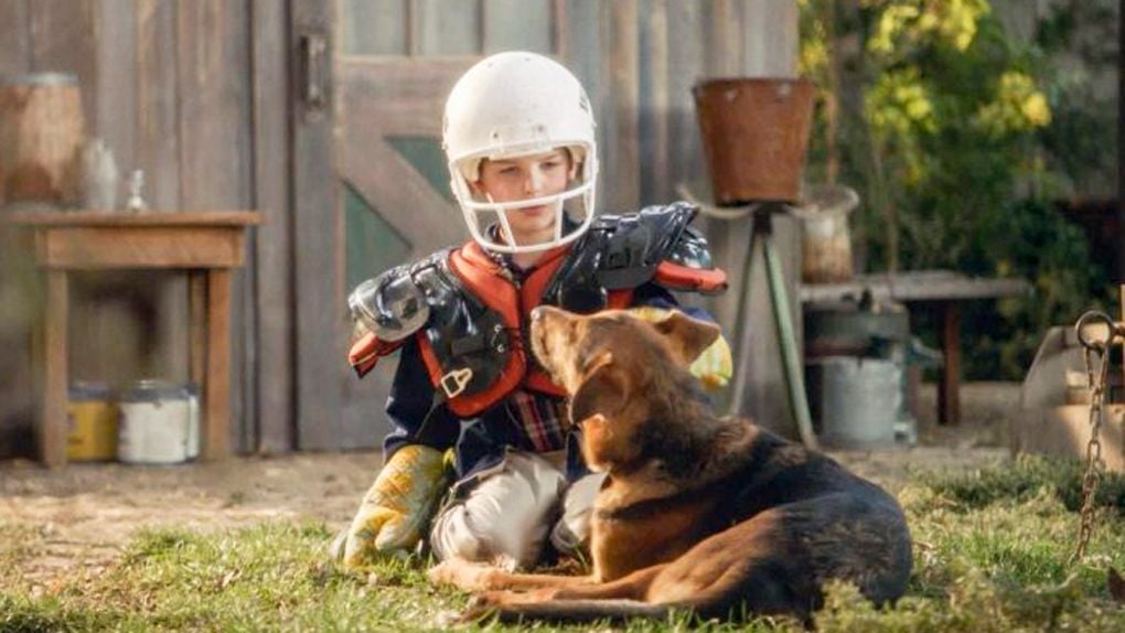 Young Sheldon : 10 références à The Big Bang Theory dans son spin-off ...