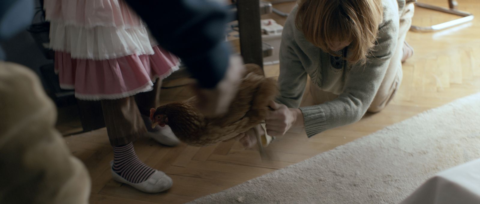 Photo de The Chicken - Photo 7 sur 7 - AlloCiné