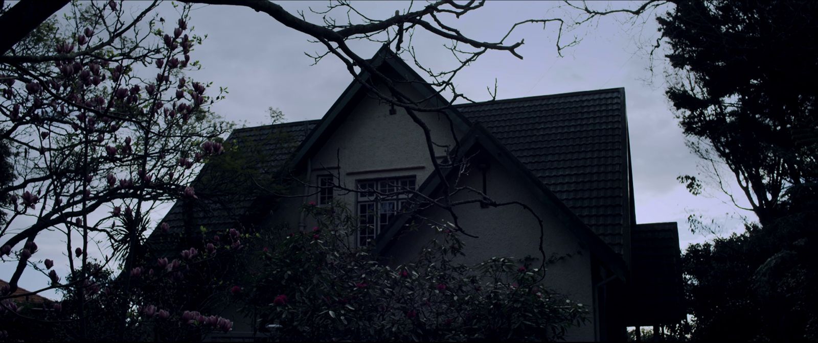 Photo du film Housebound - Photo 14 sur 17 - AlloCiné