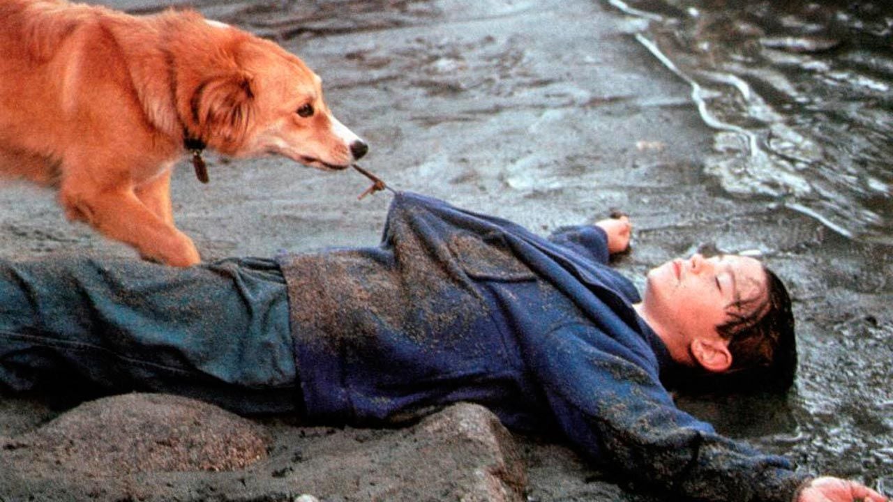 Photo du film Bingo - Photo 2 sur 5 - AlloCiné