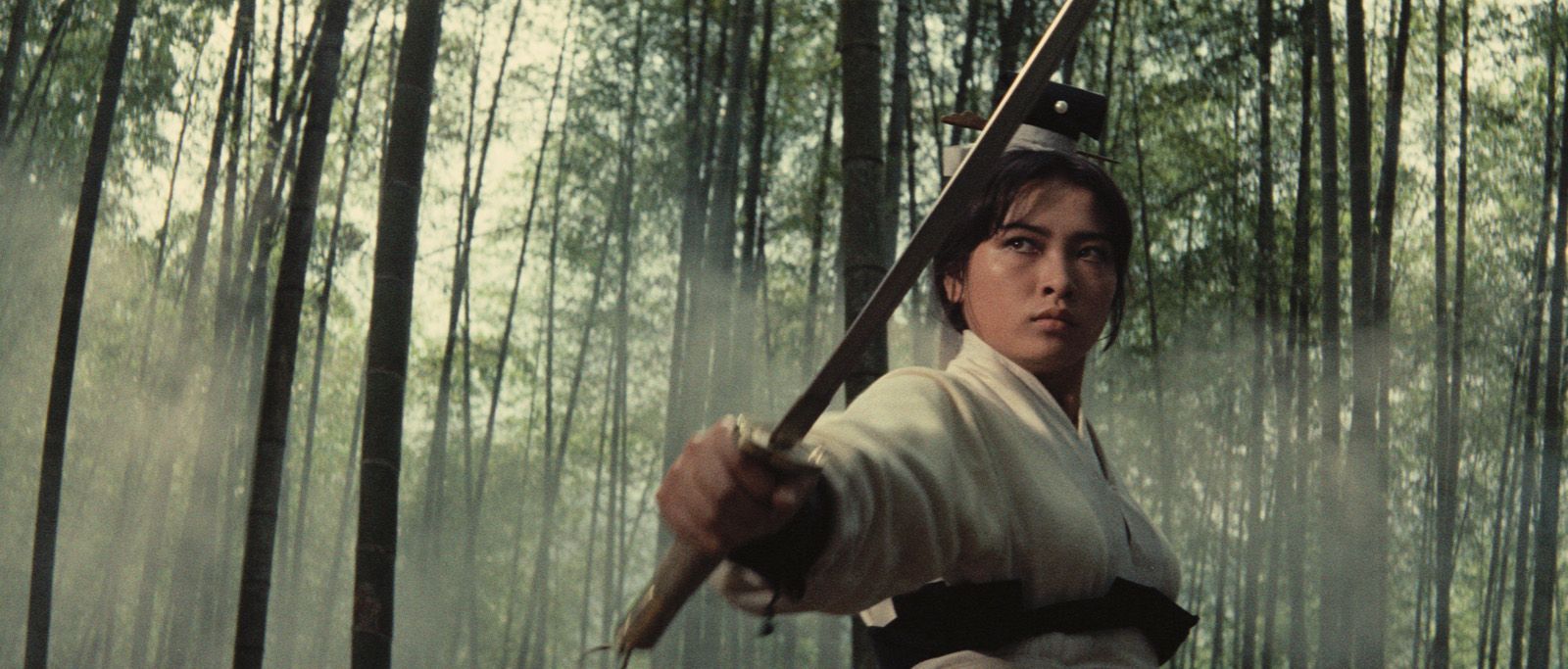 Photo de Feng Hsu - A Touch Of Zen : Photo Feng Hsu - Photo 15 sur 16 - AlloCiné