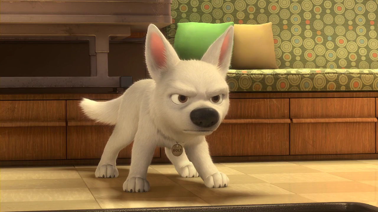 Photo du film Volt, star malgré lui - Photo 7 sur 48 - AlloCiné