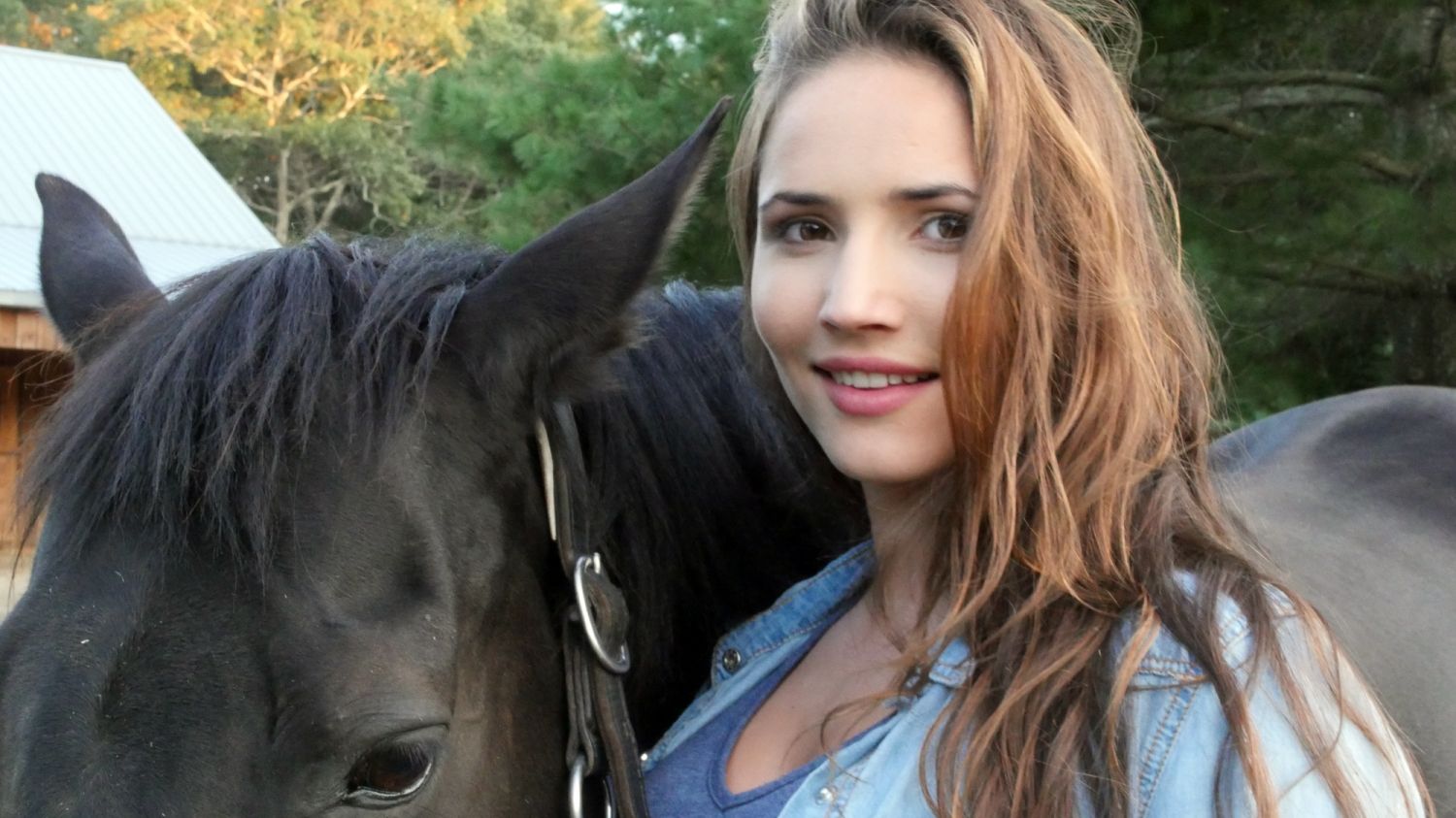 Photo de Jennifer Mckenzie - Black Beauty : Photo Jennifer Mckenzie ...