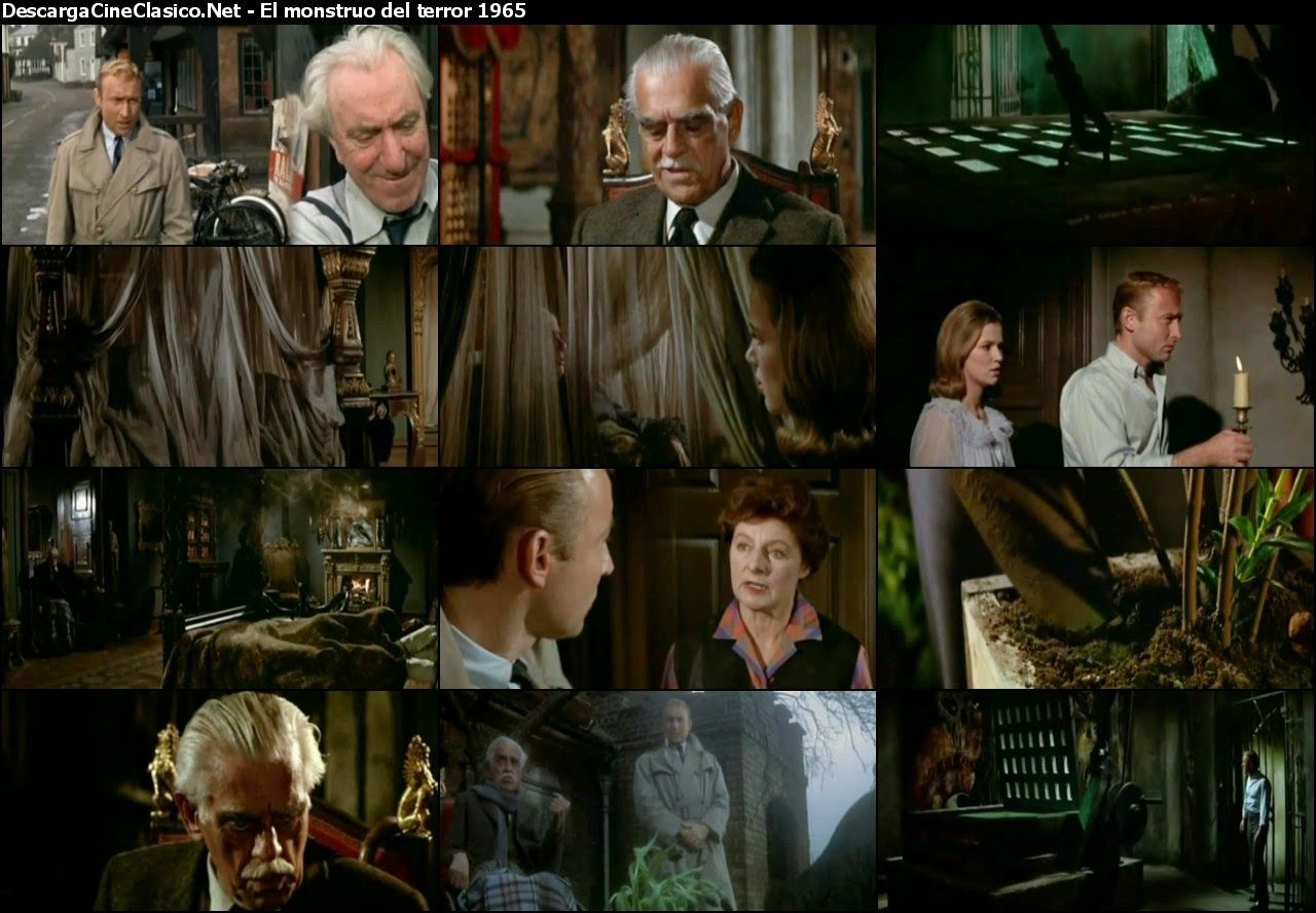 Photo du film Die, Monster, Die! - Photo 3 sur 4 - AlloCiné