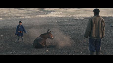 Photo du film Zud - Photo 7 sur 12 - AlloCiné