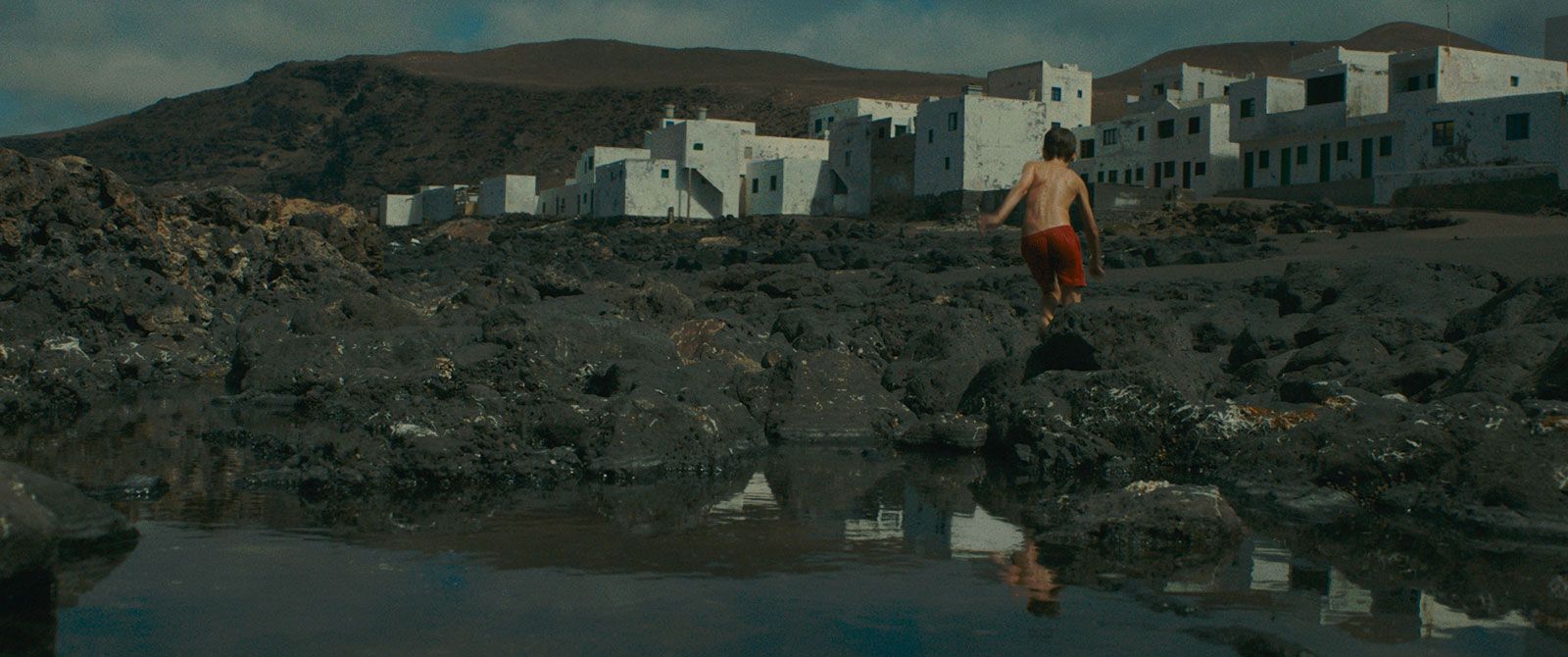 Photo du film Évolution - Photo 5 sur 13 - AlloCiné