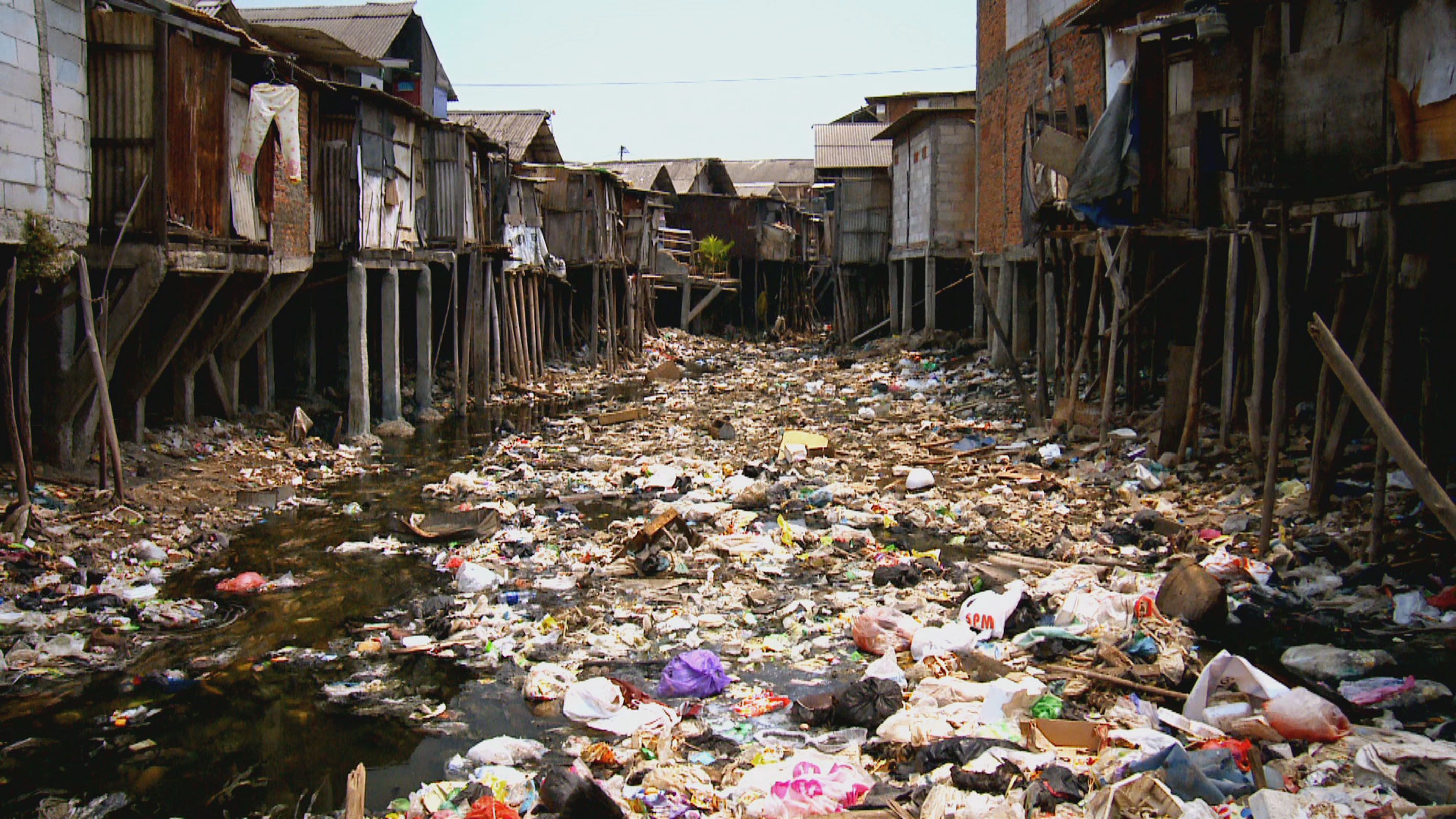 Photo du film Trashed - Photo 9 sur 9 - AlloCiné