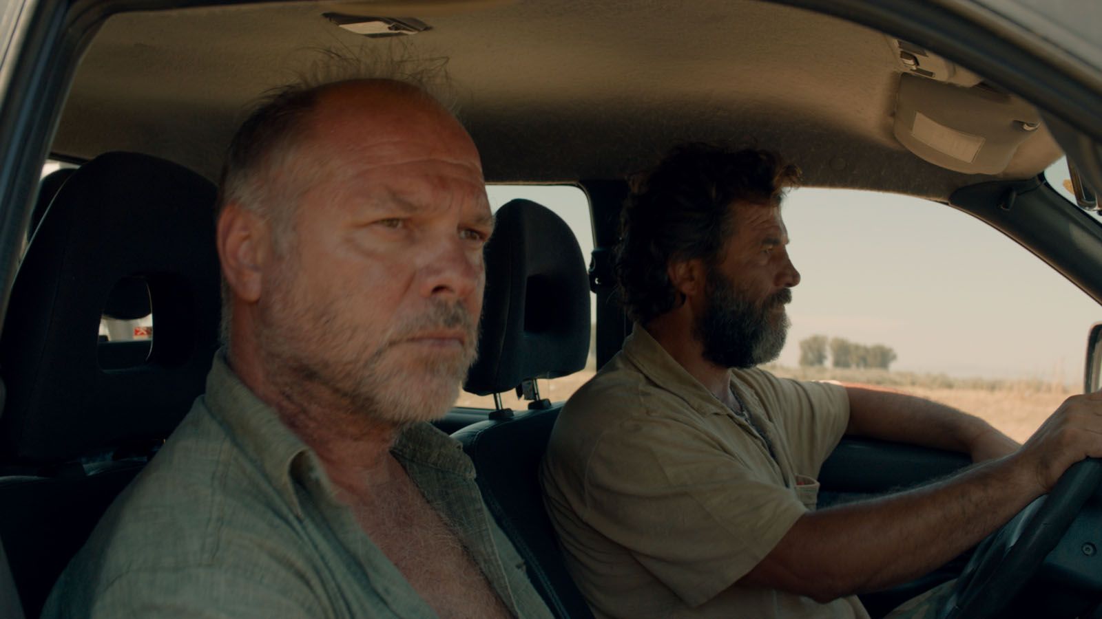 Photo du film Dogs - Photo 3 sur 14 - AlloCiné