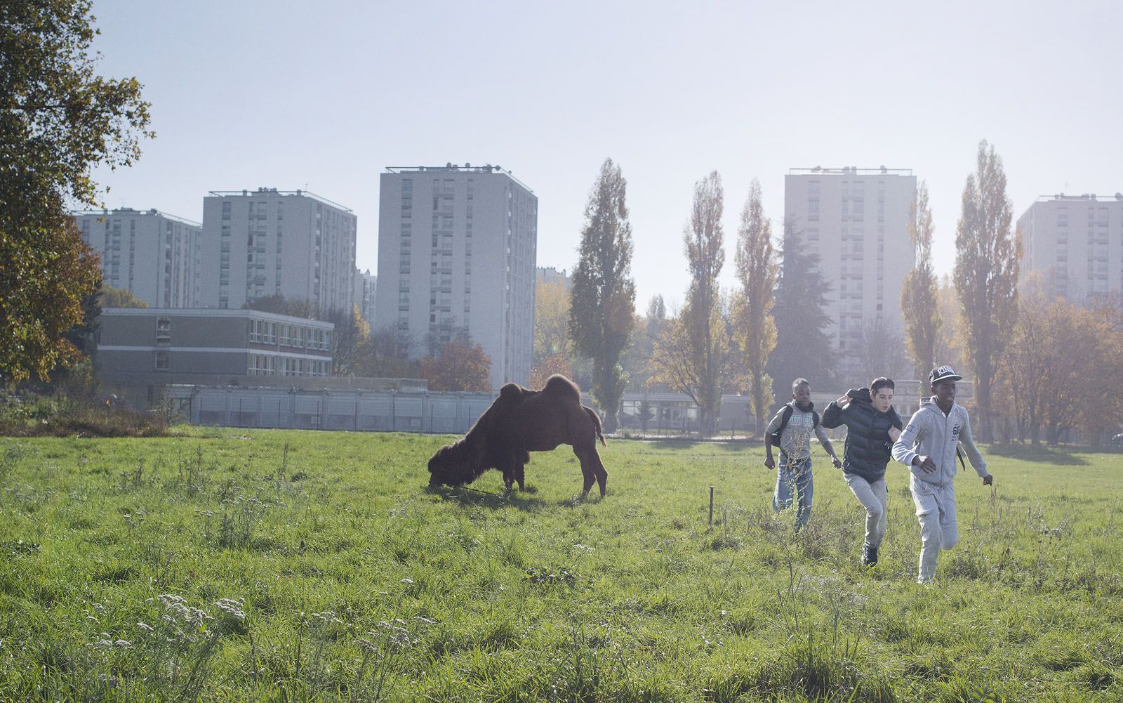 Photo du film Swagger - Photo 3 sur 21 - AlloCiné