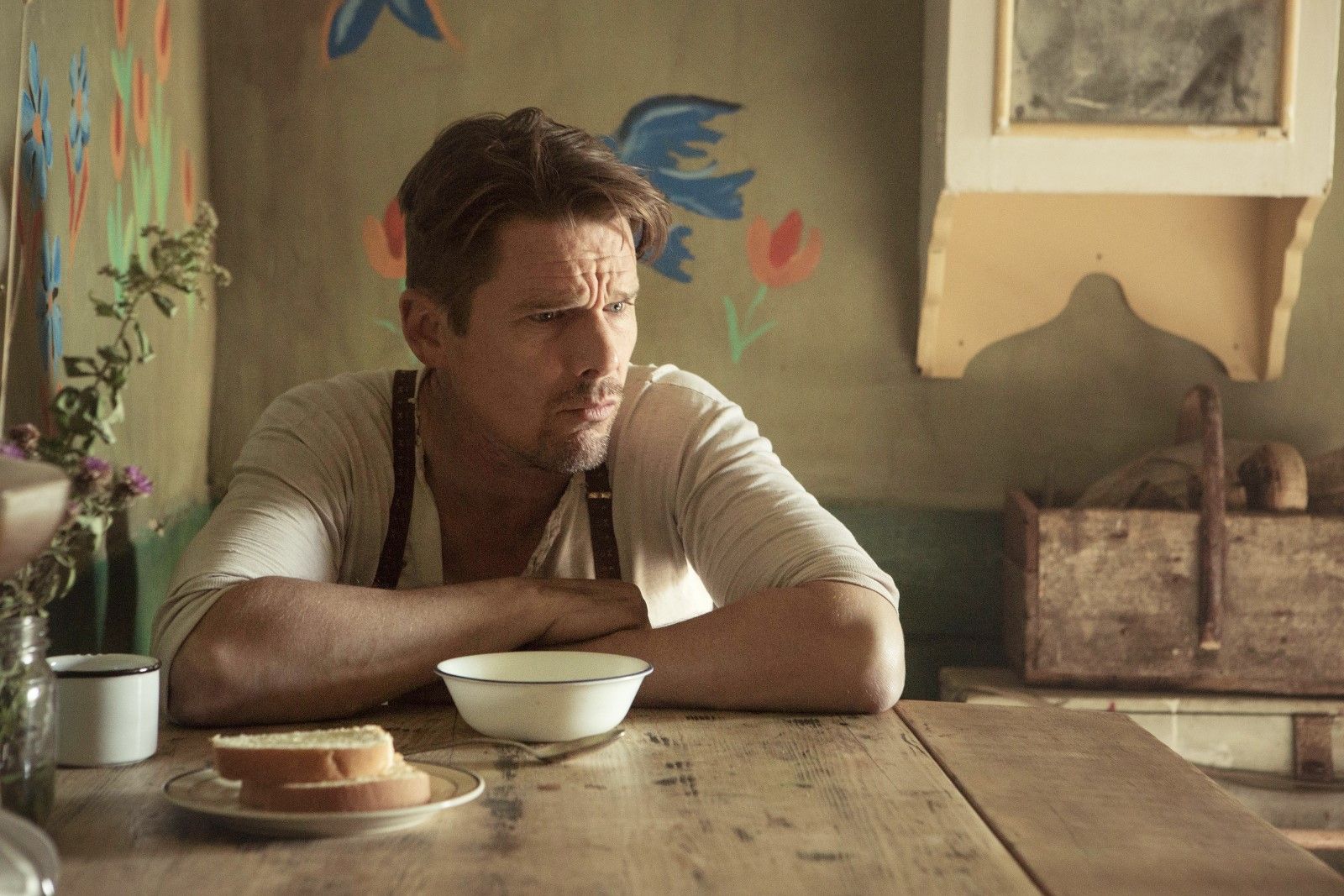 Photo du film Maudie - Photo 6 sur 19 - AlloCiné