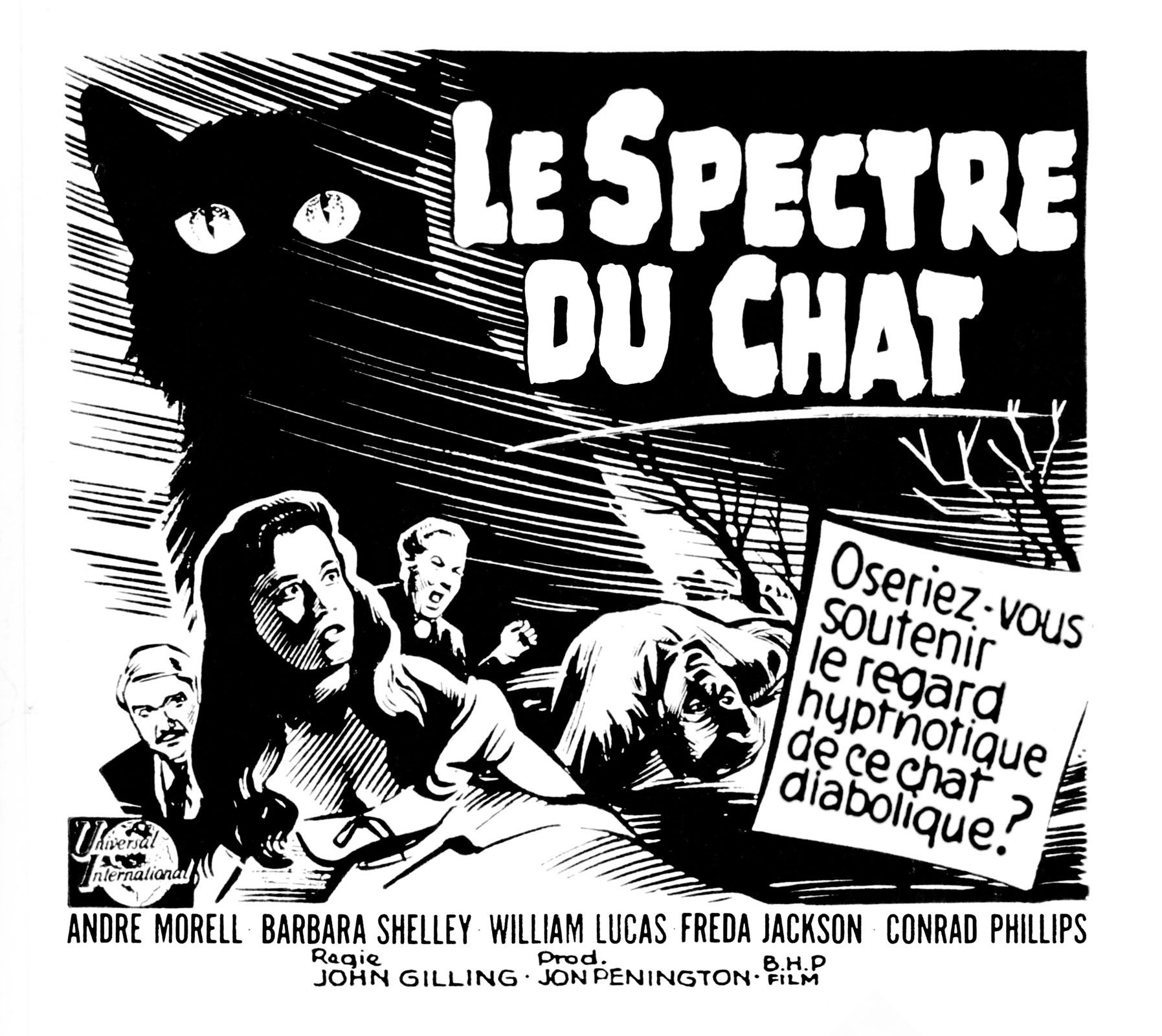Affiche du film Le spectre du chat - Photo 2 sur 12 - AlloCiné