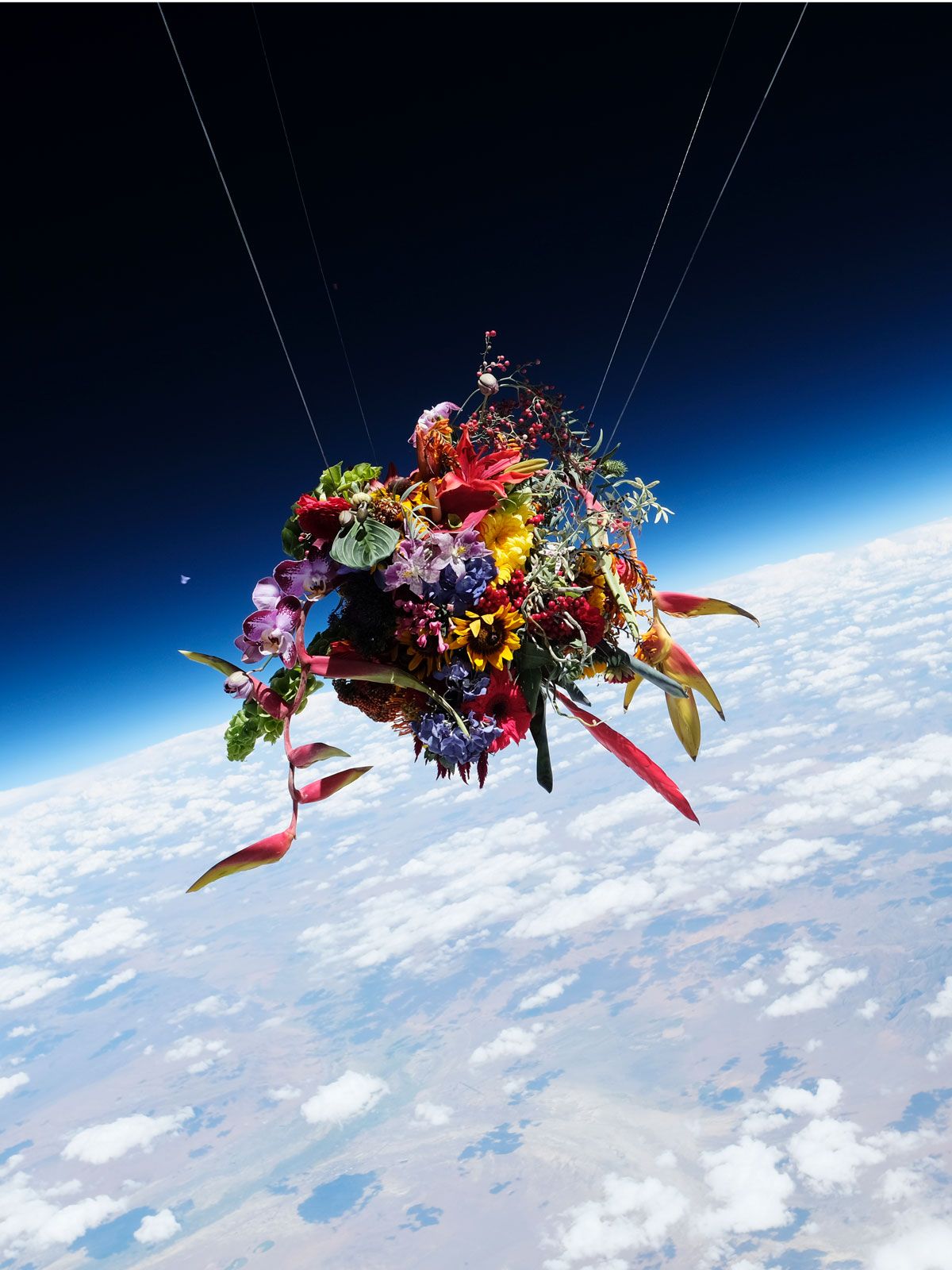 Deep Flowers - Film documentaire 2017 - AlloCiné